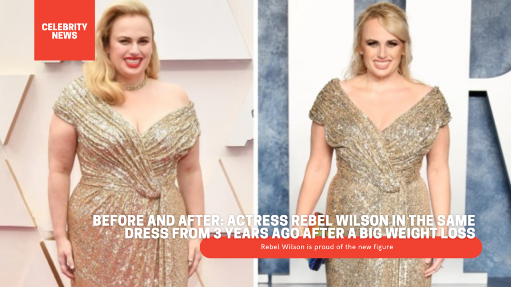 Before and after: Actress Rebel Wilson in the same dress from 3 years ...